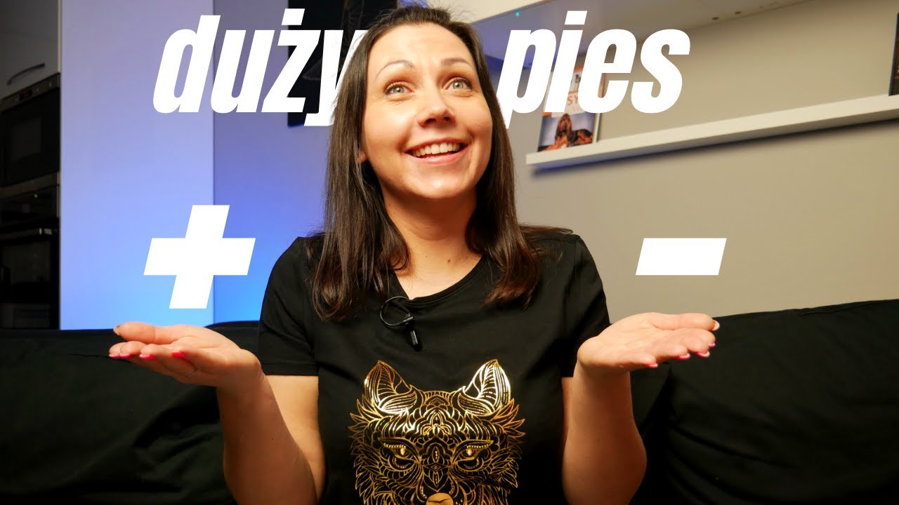 Duży pies - plusy i minusy - YouTube