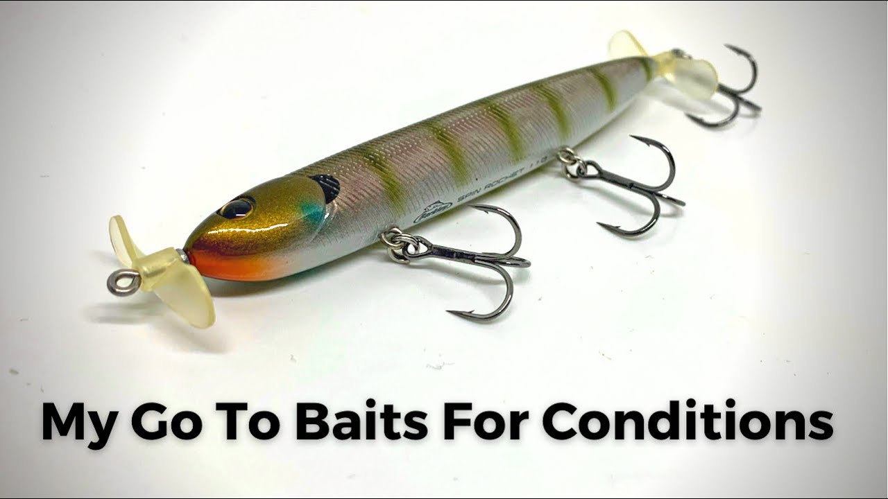 Choose The Right Bait For The Right Situations - YouTube