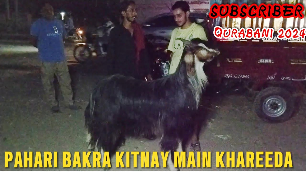 Pahari Bakra Kitnay Main Khareeda🤔Subscriber Qurbani 2024😎Wazirabad ...