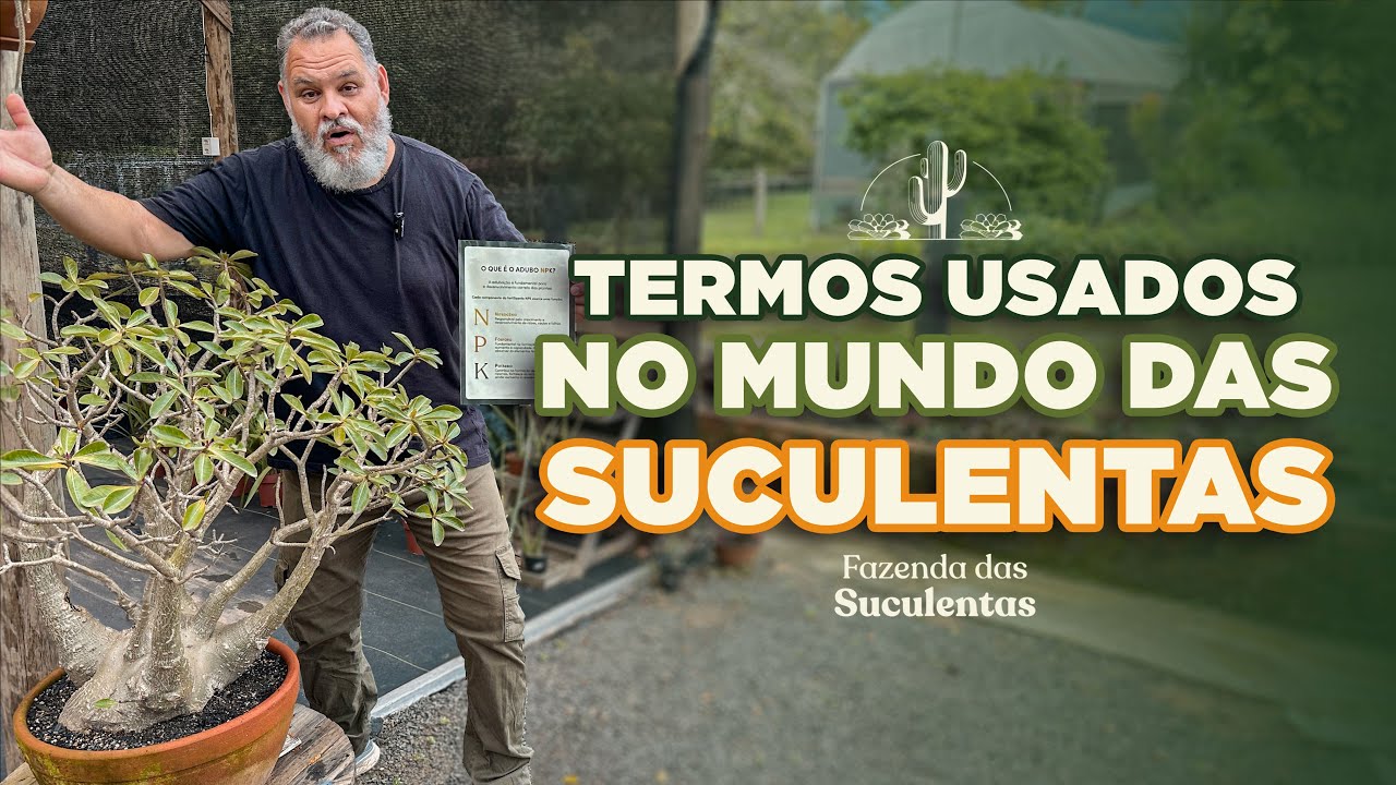 Suculenta VARIEGATA, CRISTATA e outros TERMOS do MUNDO DAS SUCULENTAS! - YouTube