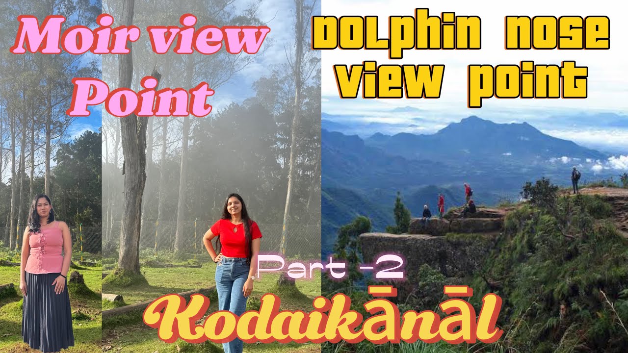Dolphin view point | Moir point| fairy falls| silver cascade fall ...