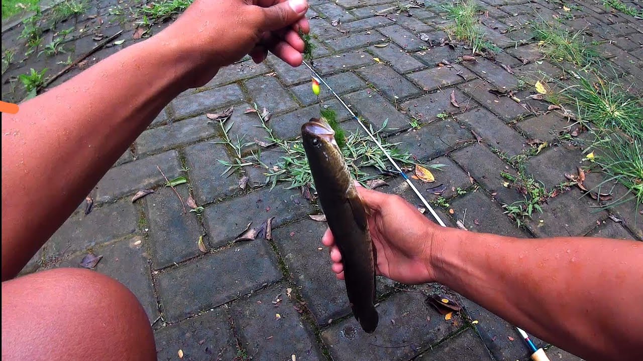 Tes Joran Micro Casting Wader Dibikin Ketar Ketir Joran Seukuran lidi ...