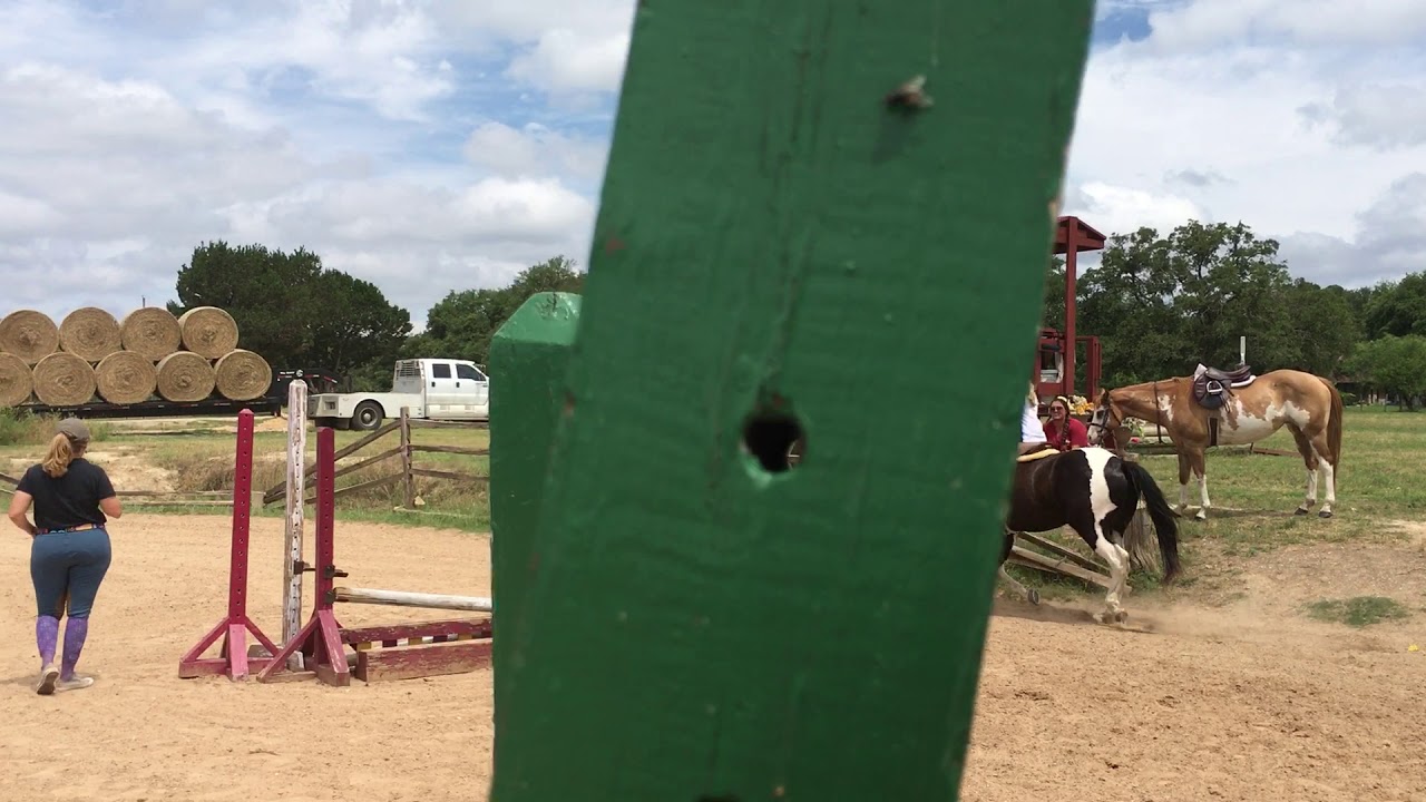 Oakley Lydia Trotting #2 - YouTube