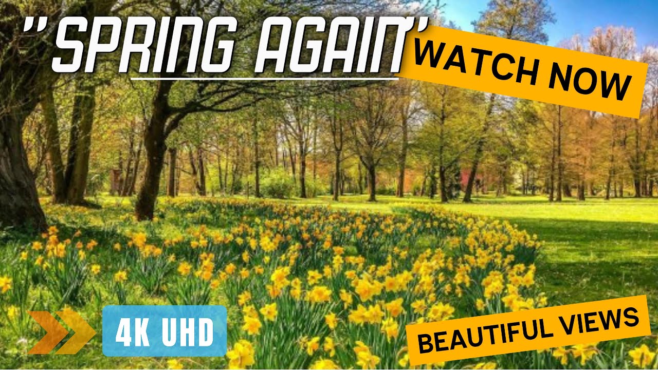 "Spring Again" - YouTube
