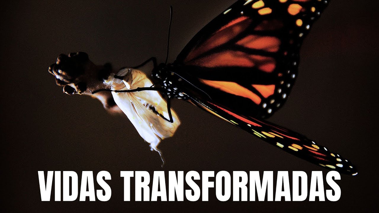 VIDAS TRANSFORMADAS - YouTube