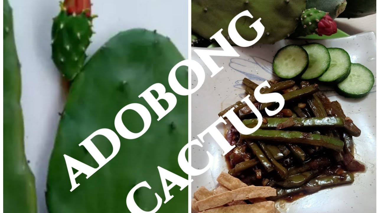 How to cook Cactus pinoy style, Prickly pear cactus #cactusisedible # ...