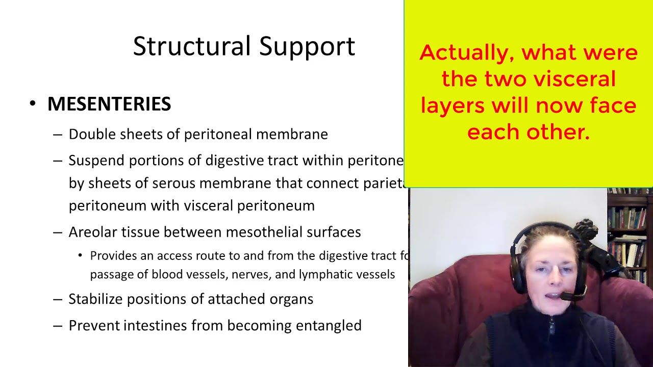 GI Support Structures - YouTube