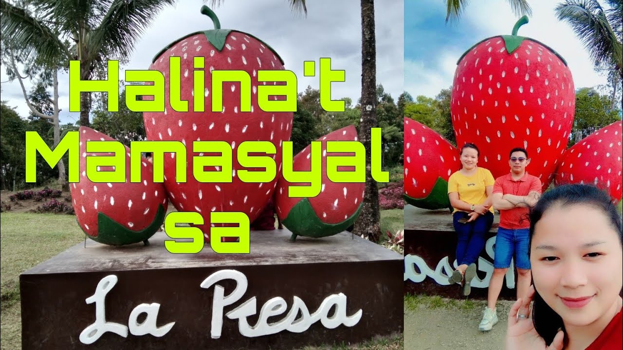 ROAD TRIP to La Presa - Strawberry Farm by BHING - Gardening - YouTube