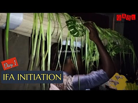 Ifa Initiation Live Video on Day 1 of the Ifa Initiation Process & How to Wash Ikin Ifa by Babalawo