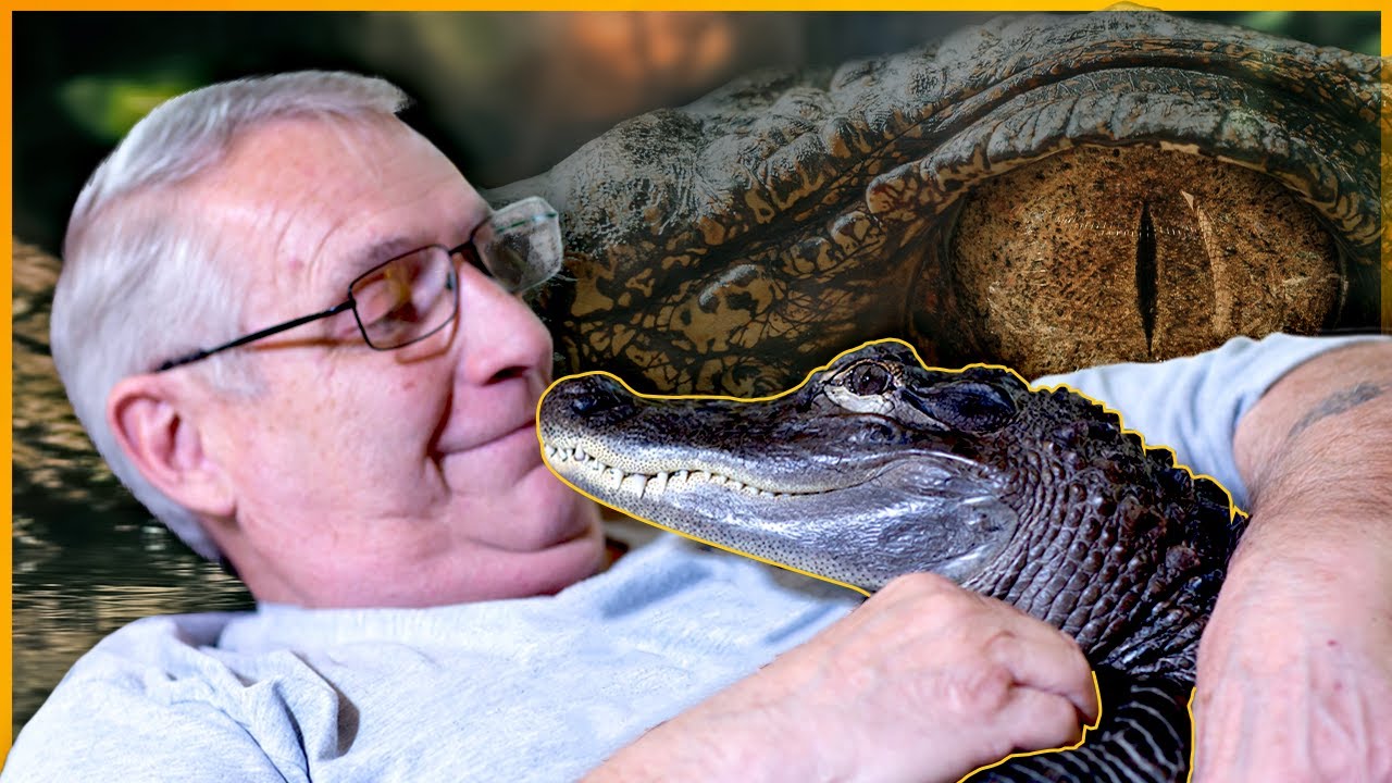 He Lives with a Pet Alligator for Emotional Support - YouTube