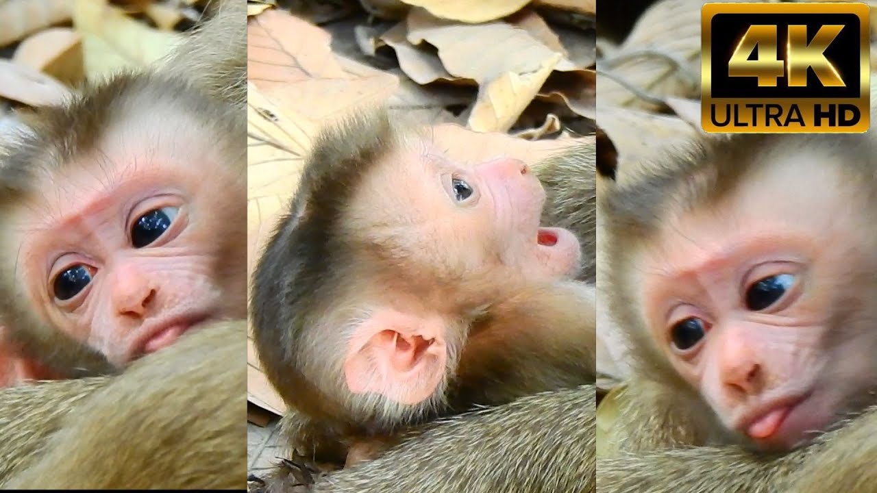 Baby Lily, she wants to open her eyes to see the world, she wants to ...