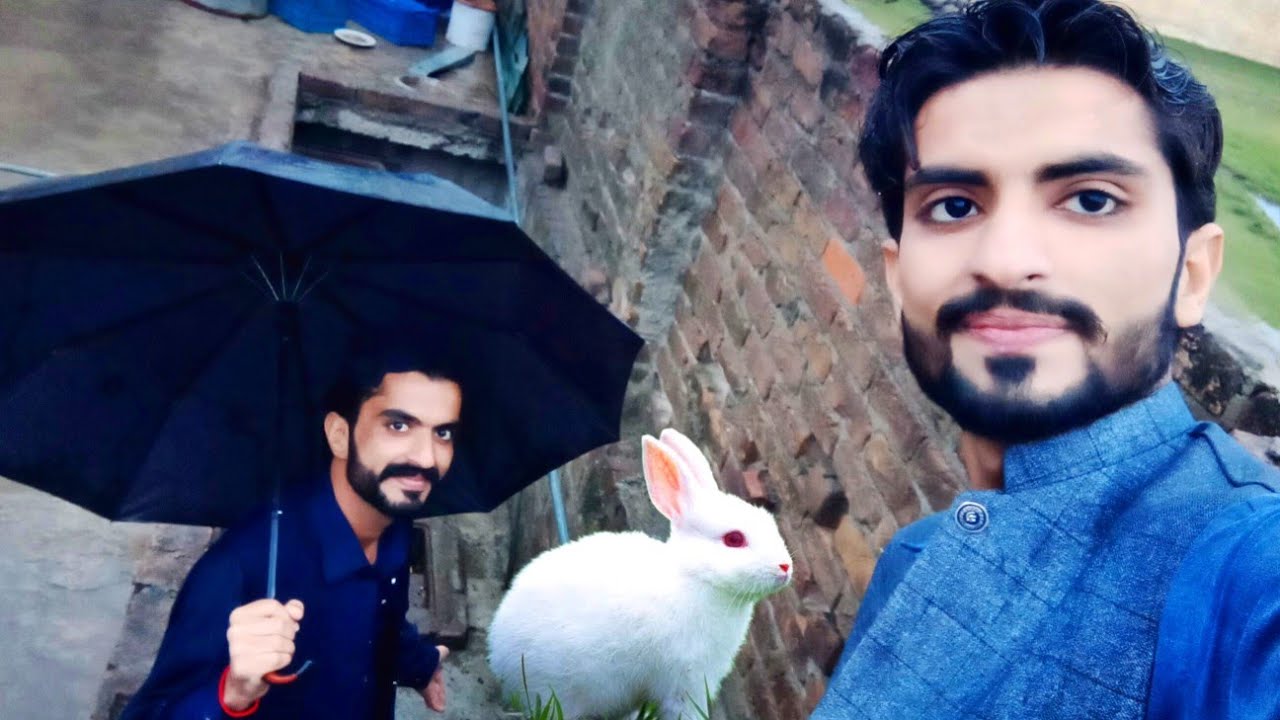Mini Zoo Main Rabbit 🐇 Agy😍 - YouTube