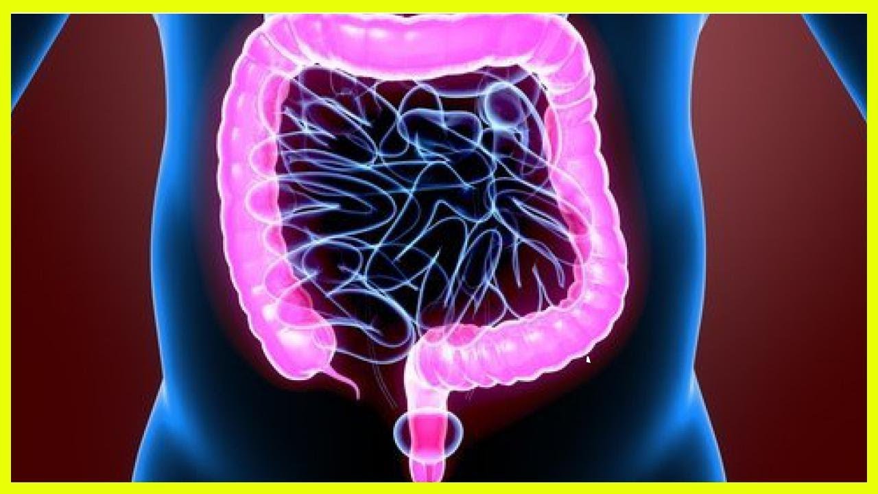 Amibiase : des traitements naturels faits à la maison - YouTube