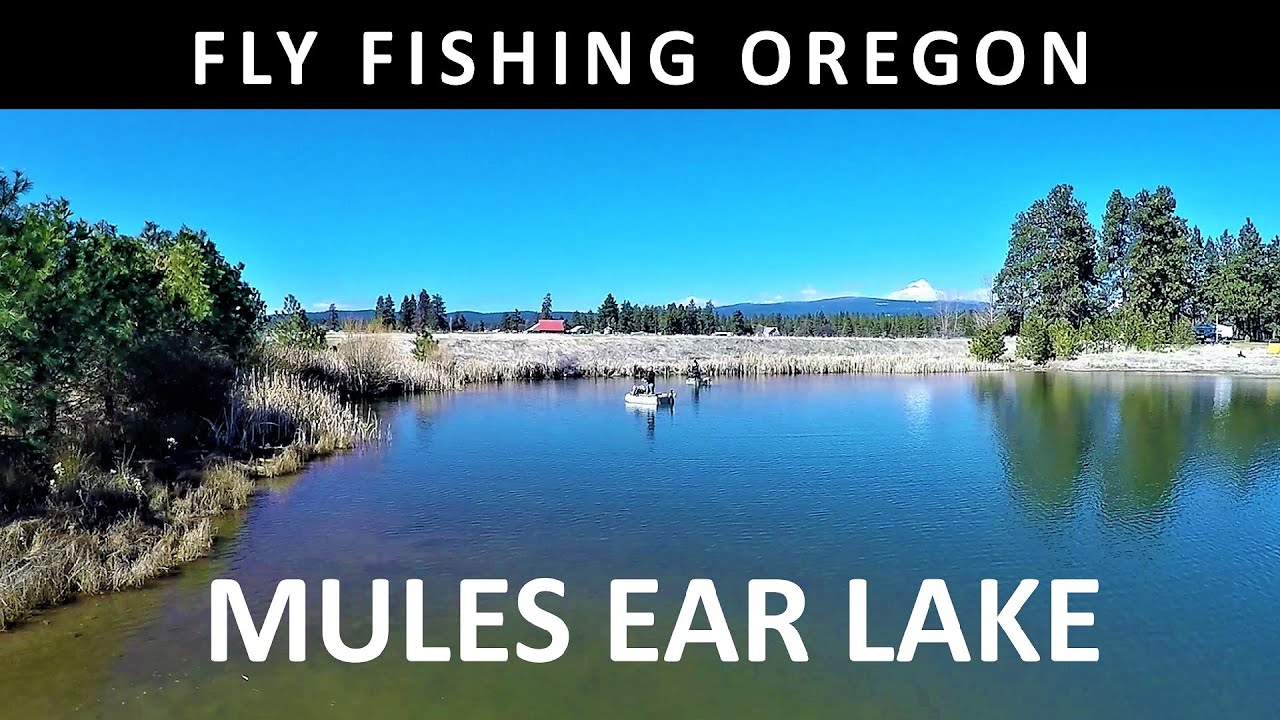Fly Fishing Oregon's Mules Ear Lake on Rocky Ridge Ranch-Trailer For ...