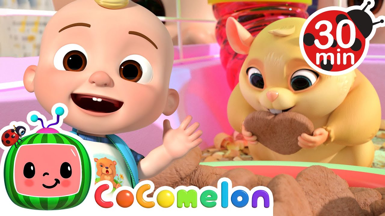 Sing A Long to the Class Pet Song | Cocomelon and Little Angel Nursery ...