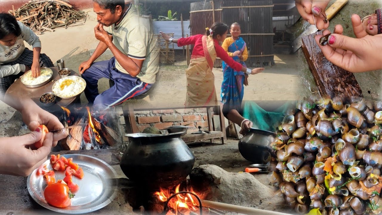 PANI HAMUK-cooking PERIWINKLE (SNAILS)with TOMATOES for meal||northeast ...