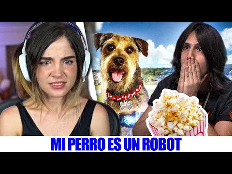 Staryuuki Reacciona a MissaSinfonia | Mi Perro Es Un Robot