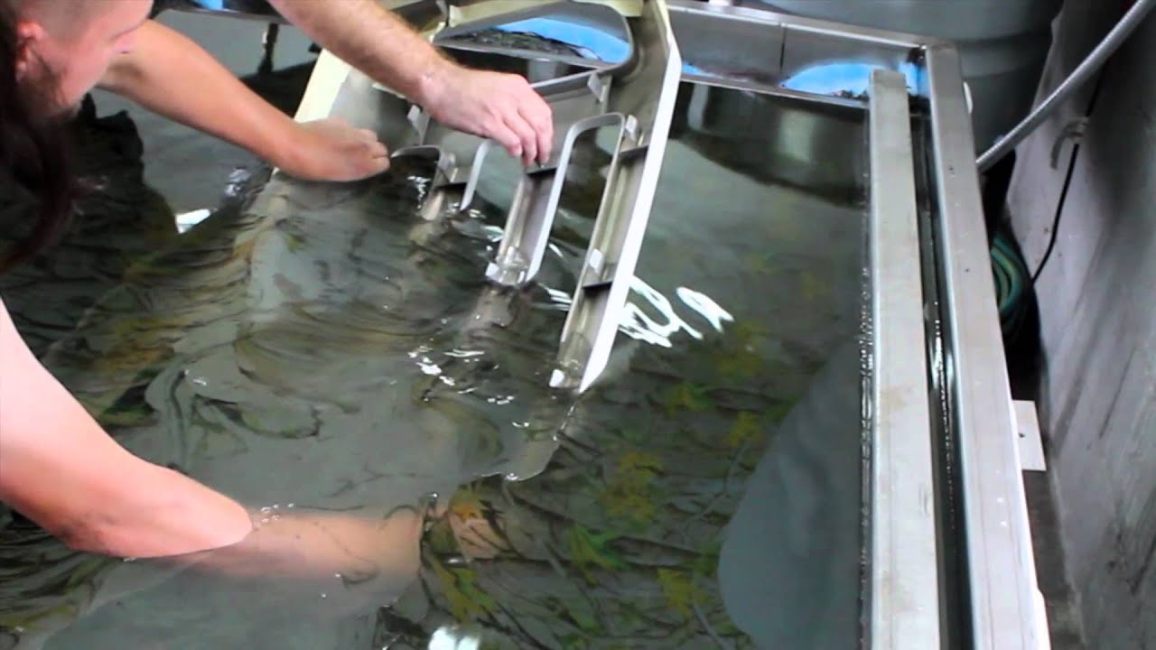 Hydro Dipping Ford Grill at Voyles Performance and Hydrographics - YouTube