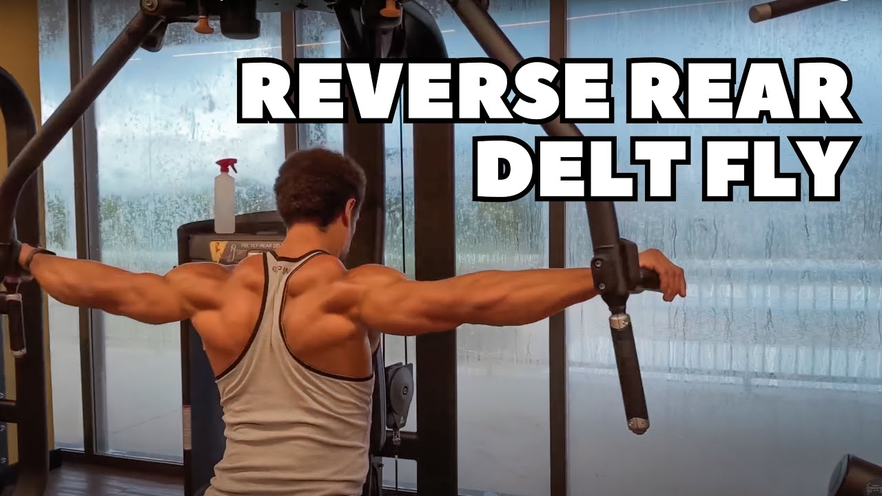 Pec Deck Reverse Rear Delt Fly - YouTube