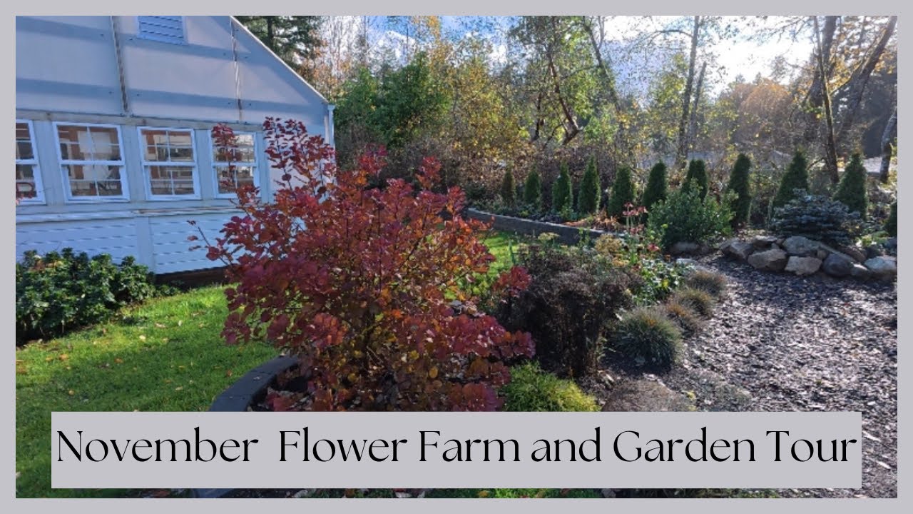 November Garden Tour | PNW Zone 8b Flower Farm - YouTube