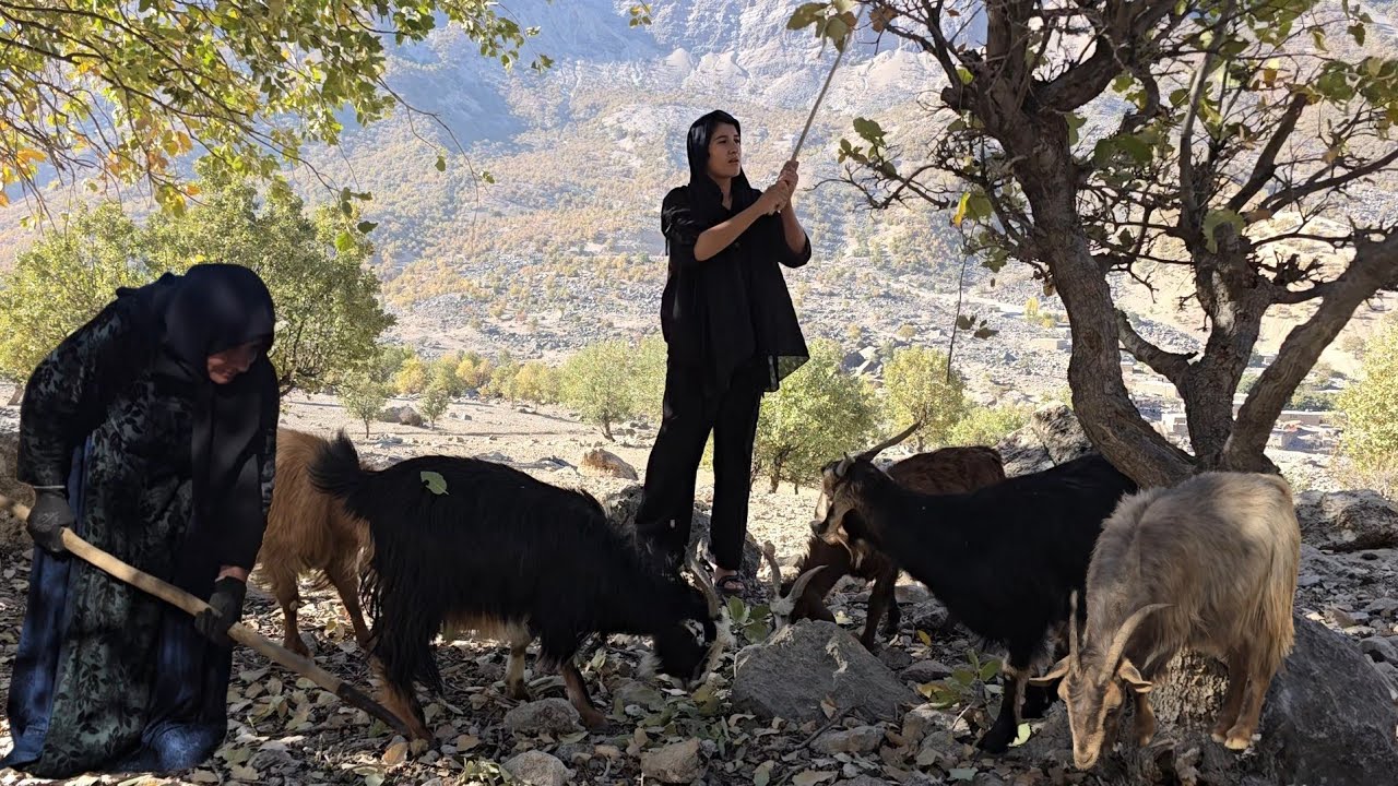 What is the nomadic lifestyle like? | A day with nomadic women in ...