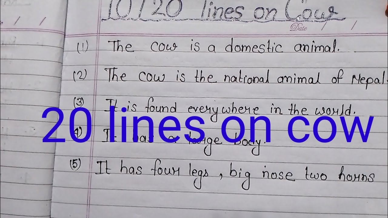 10/20 lines on cow in English//essay on Cow//paragraph on cow// English ...