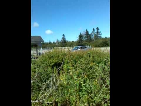Camping- Anchorage Park, Grand Manan, NB - YouTube