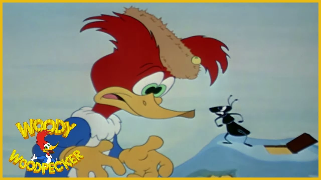 Woody Woodpecker | Redwood Sap | Full Episodes - YouTube