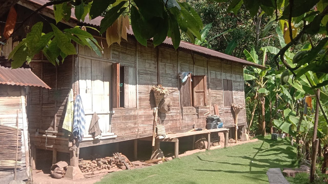 This is the life of people in the Indonesian village | house is still ...