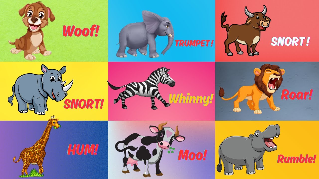 Zoo Animal Sounds Song | Moo, Baa, Oink! Fun Kids Song & Animal Noises ...