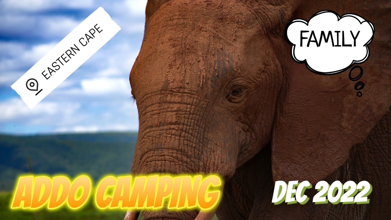 ADDO Elephant National Park camping with the family - December 2022 ...