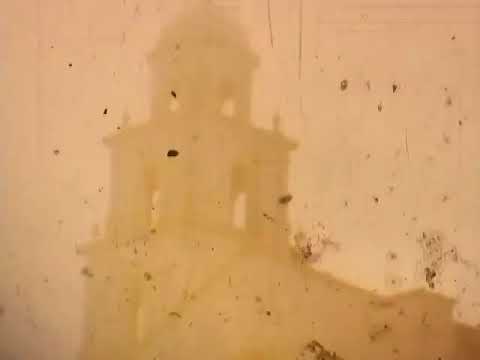 Celestine Leahy's home movies