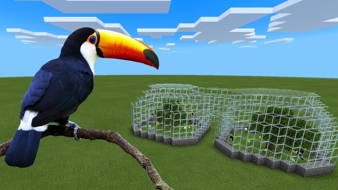 How To Make a TOUCAN FARM in Minecraft PE - YouTube