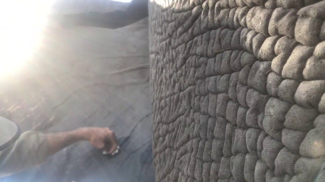 Cortisone Injected into Ear of Jabu The Elephant | Living With ...