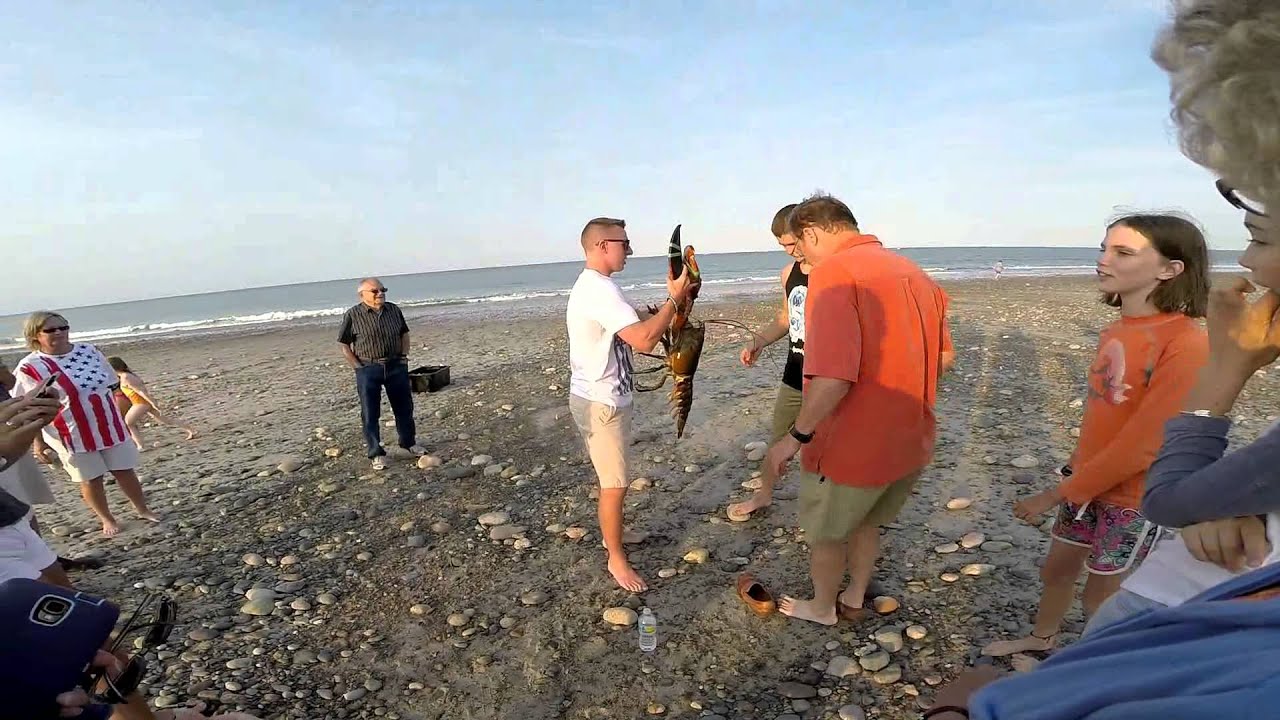 100 Year Old Lobster Set Free - YouTube