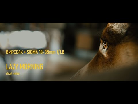 BMPCC 4K + SIGMA 18-35mm / Davinci Resolve color grade + Artlist / Cinematic short film