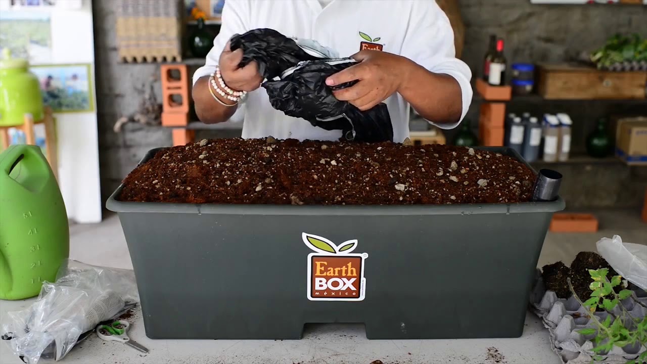 ¿Cómo instalar tu EarthBox? - YouTube