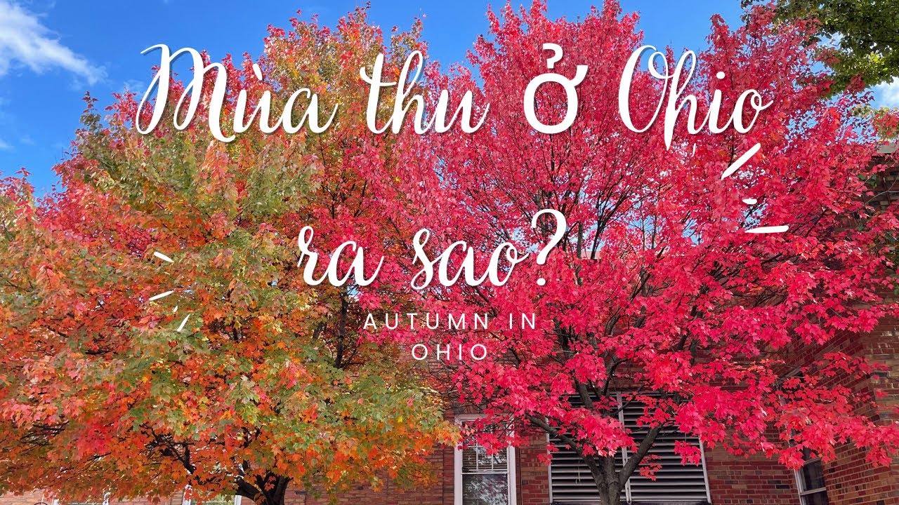 What is Autumn like in Ohio?/Mùa thu ở Ohio ra sao? - YouTube