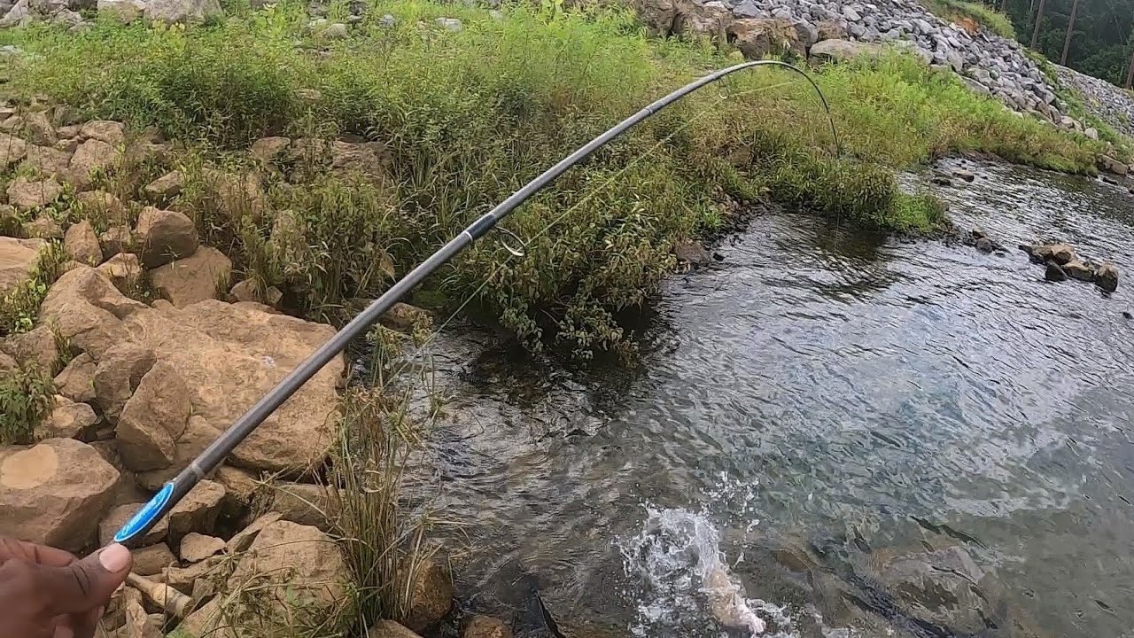 Logan dam Pt.1 - YouTube