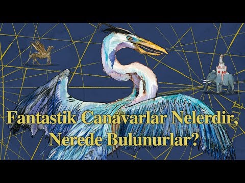 Fantastik Canavarlar Nelerdir, Nerede Bulunurlar Kitabı Tanıtımı