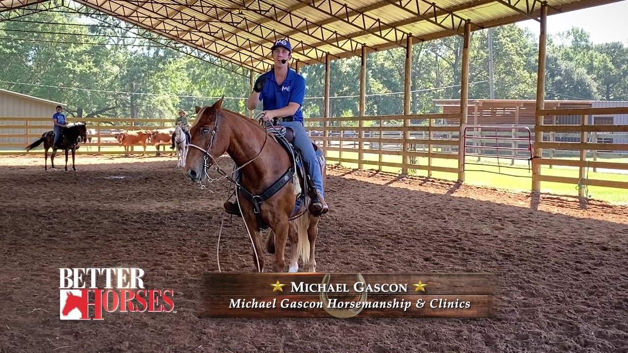 Episode 179 Michael Gascon 5th-generation, world-renowned horse trainer ...