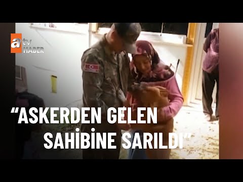 Asker yolu gözleyen köpeğin heyecanı - atv Haber 10 Kasım 2022