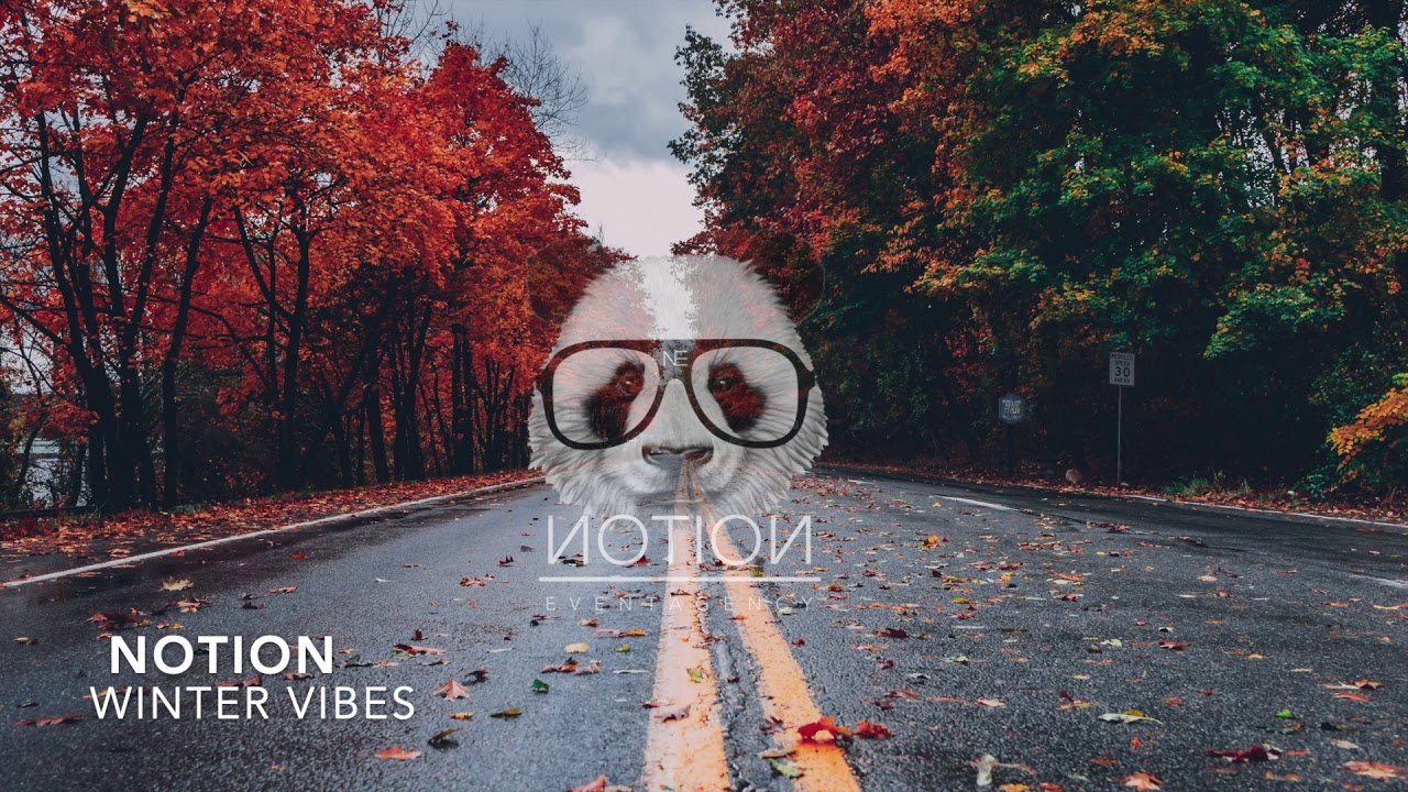 NOTION WINTER VIBES - YouTube