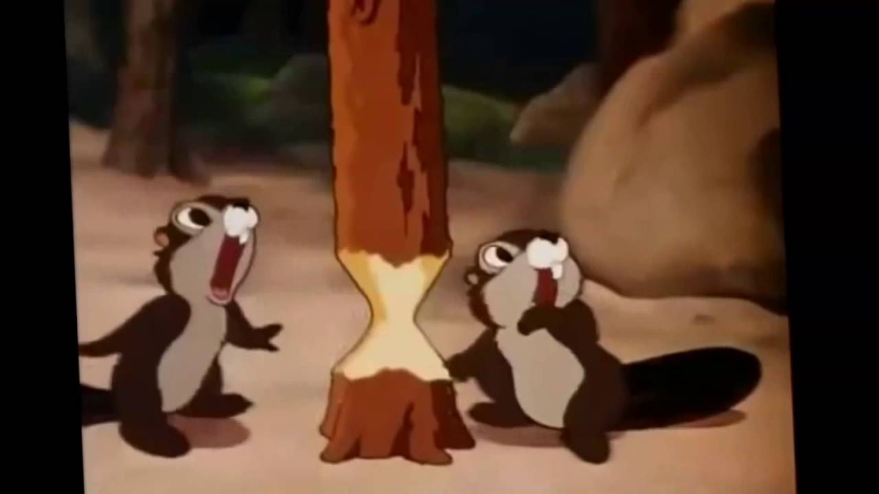 Chip and Dale Collection- Funny Chipmunk Cartoon with Donald duck and ...