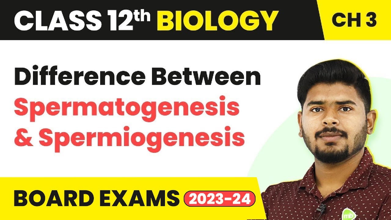 Class 12 Biology Ch 3 | Difference Between Spermatogenesis and ...