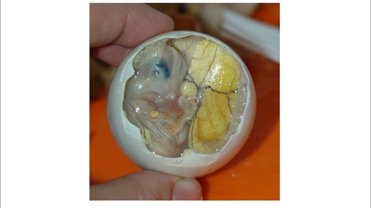How to eat balut? - YouTube