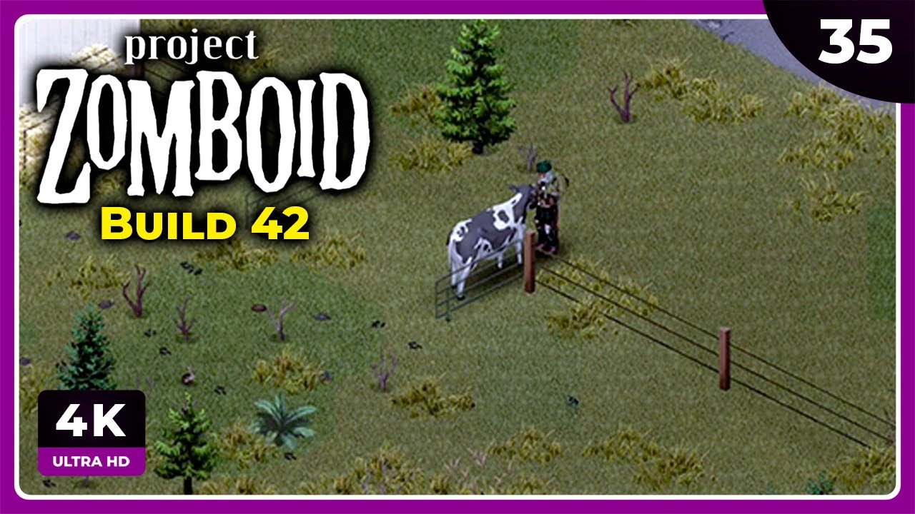 PZ B42 #35 | LOS ANIMALES SE MUEREN!! | PROJECT ZOMBOID Gameplay ...