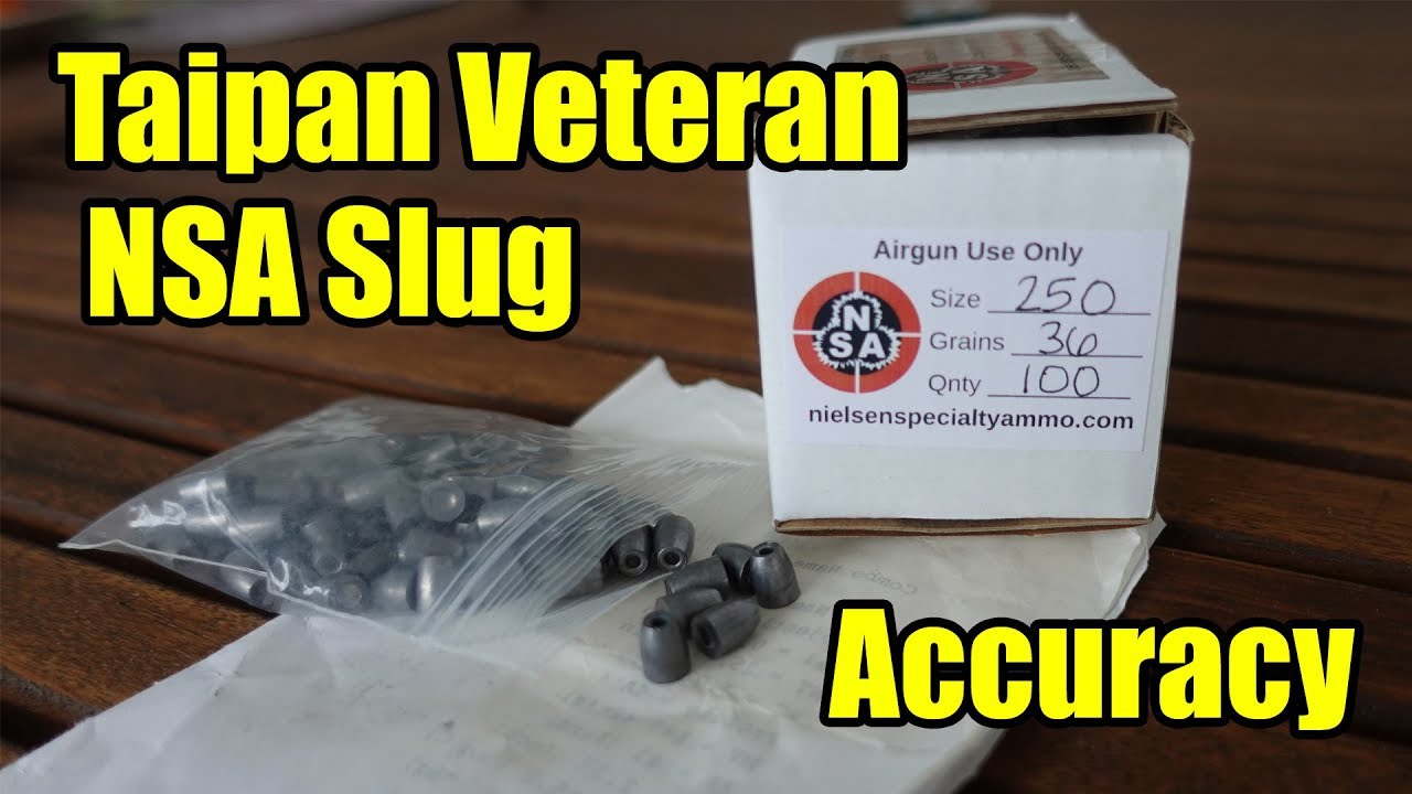Taipan Veteran .25 Slug Accuracy Test | Review | Orion the Iguana ...