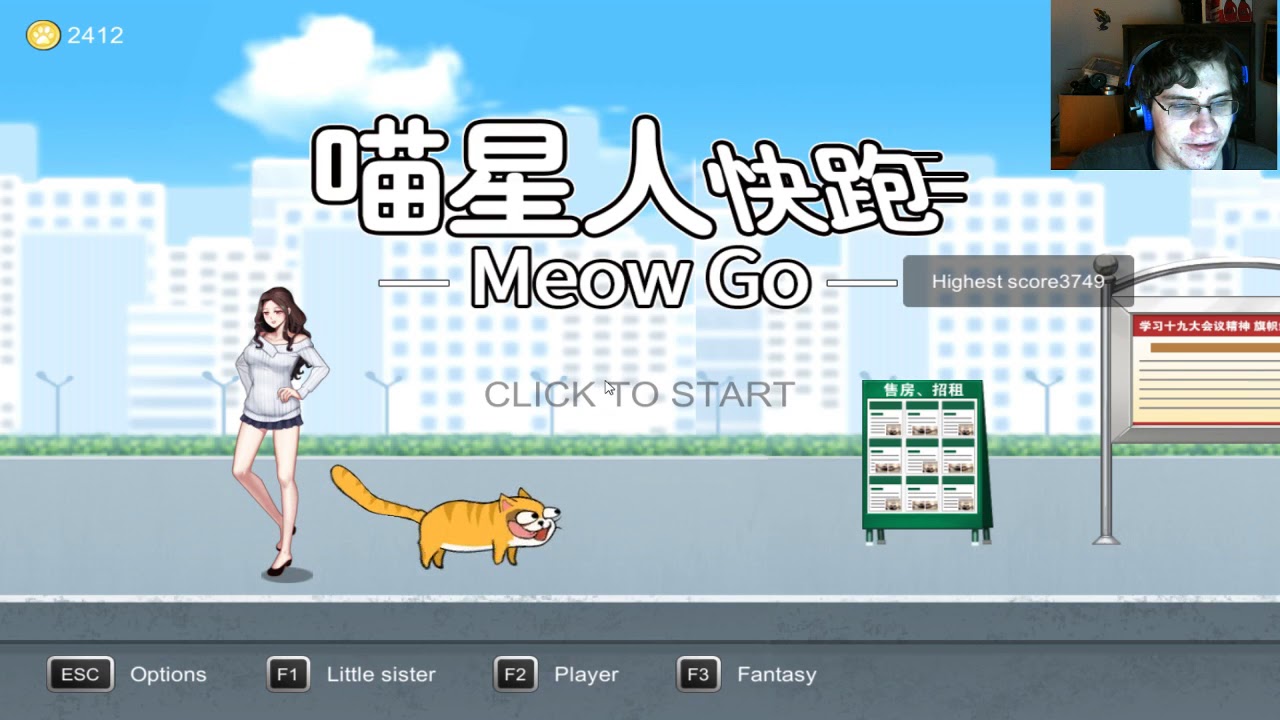 One Crazy Kitty | Meow Go - YouTube