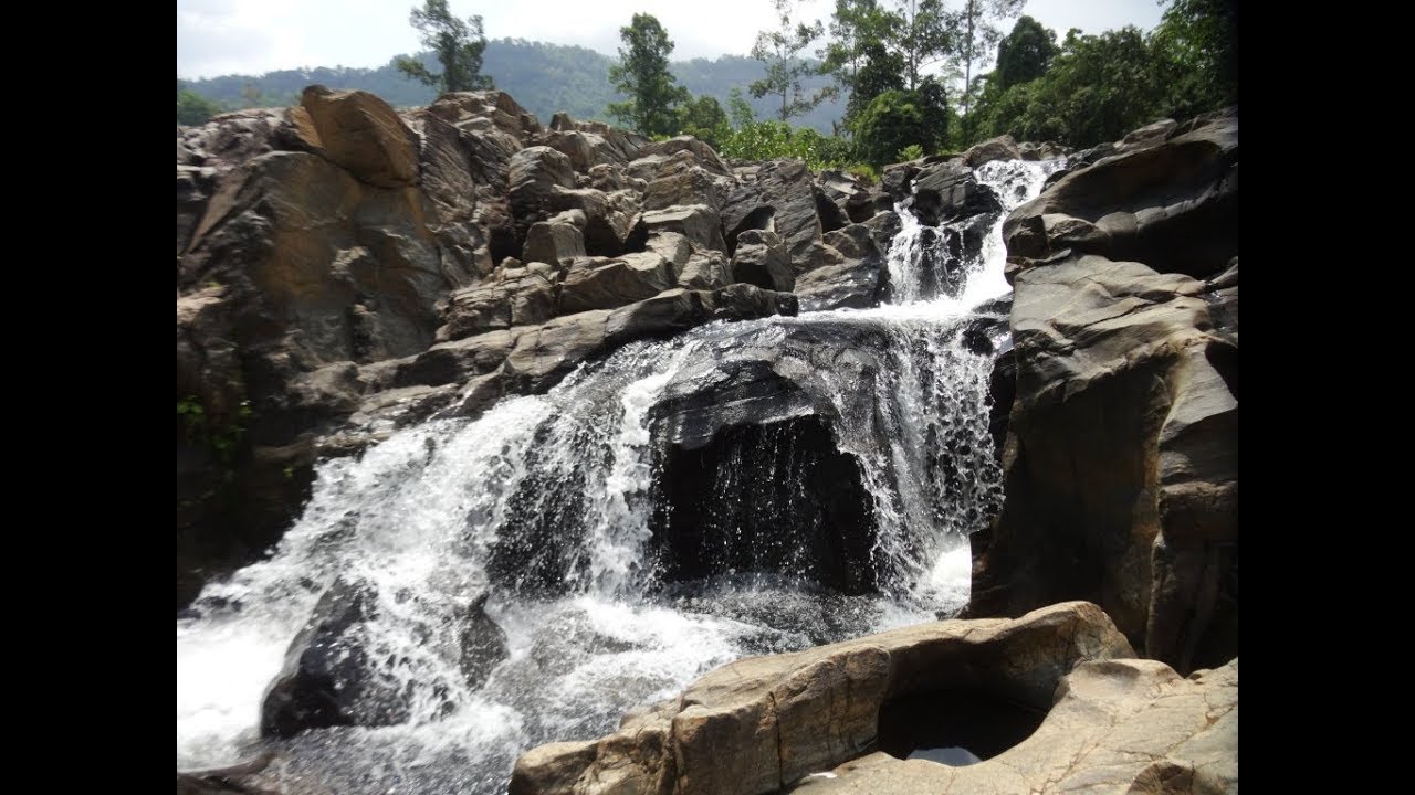 Deraniyagala Kekuna Ella/Panakura Kekuna Ella | කැකුණ ඇල්ල, Panakura ...